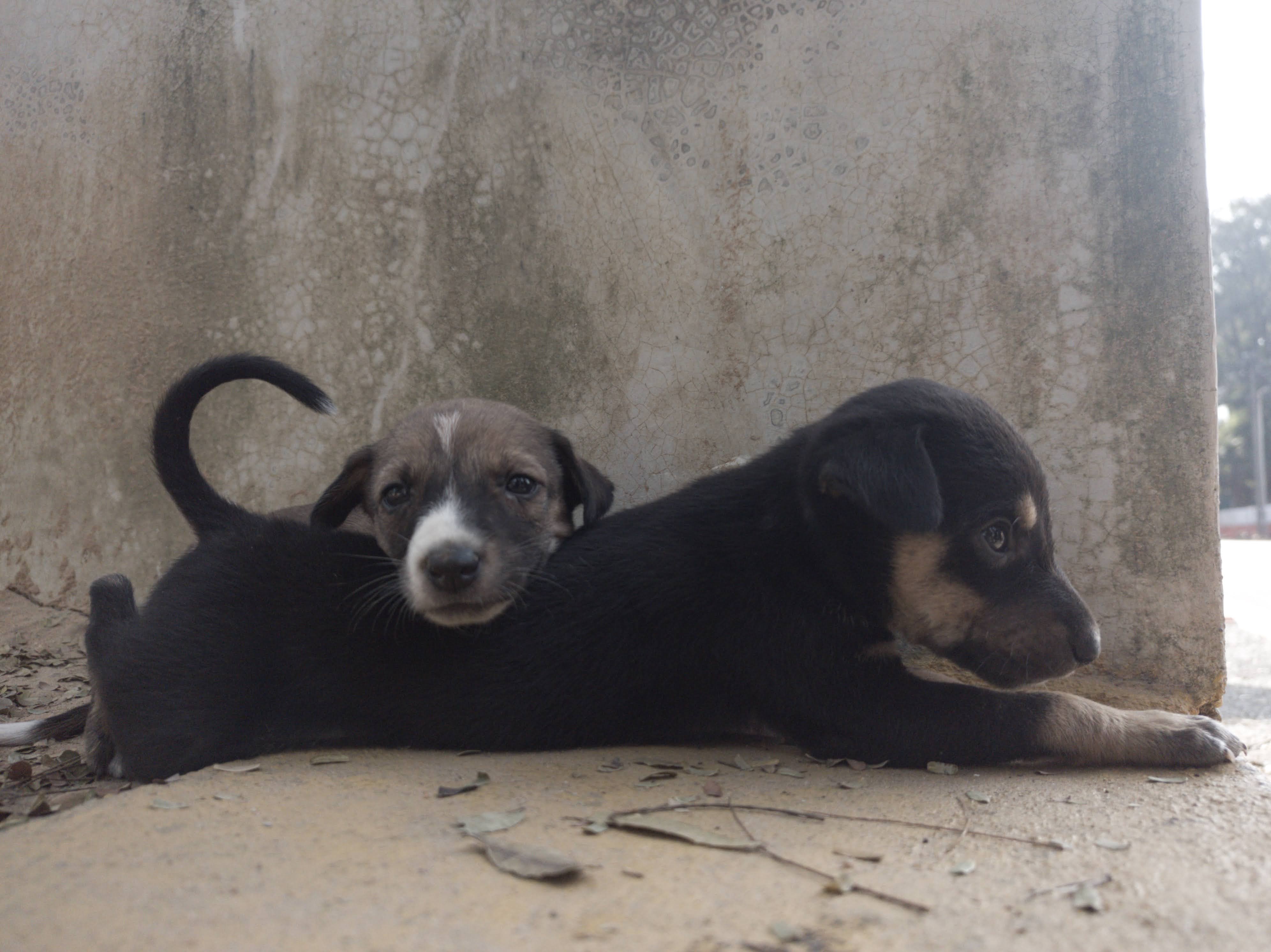 Homepage [skk-21.github.io]